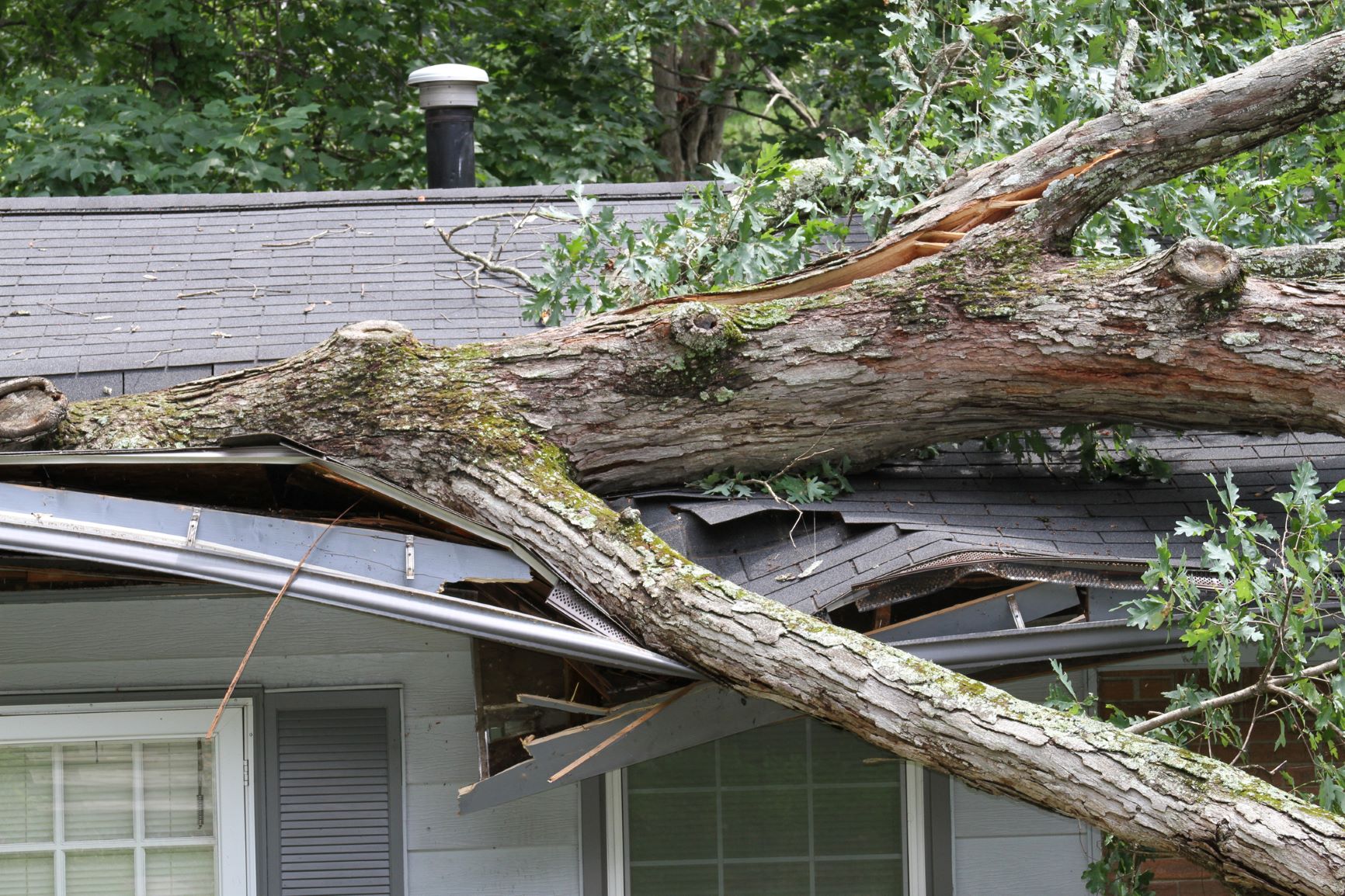 Free Storm Damage Assessment | Reynolds Roofing